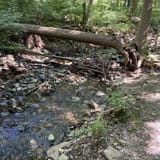 Cascade Falls Loop Trail, Massachusetts - 771 Reviews, Map | AllTrails
