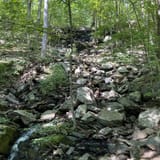 Cascade Falls Loop Trail, Massachusetts - 771 Reviews, Map | AllTrails
