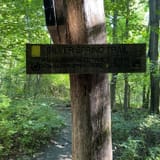 Cascade Falls Loop Trail, Massachusetts - 771 Reviews, Map | AllTrails