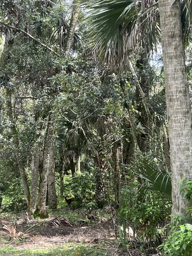 2023 Best Partially Paved Trails in Jupiter | AllTrails