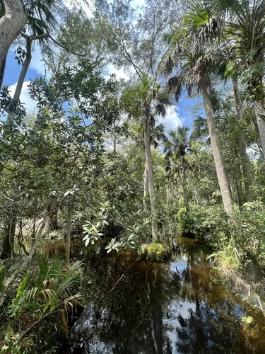 2023 Best Partially Paved Trails in Jupiter | AllTrails