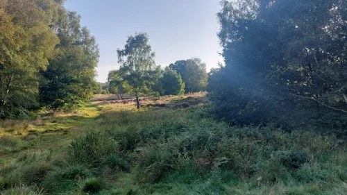 Best Hikes and Trails in Highgate Common Local Nature Preserve | AllTrails