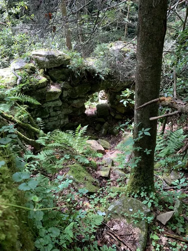 2023 Best Walking Trails in Saulsville | AllTrails
