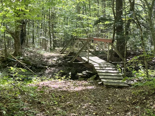 Best Hikes and Trails in Partridge Run Wildlife Management Area | AllTrails