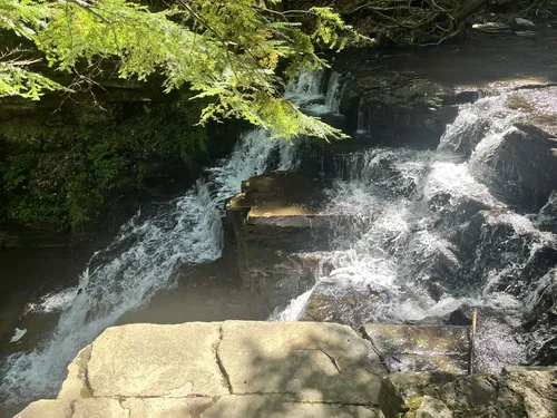 Best Hikes and Trails in Partridge Run Wildlife Management Area | AllTrails