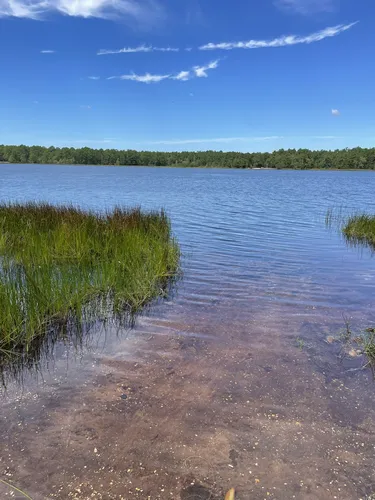 Best Hikes and Trails in Penn State Forest | AllTrails