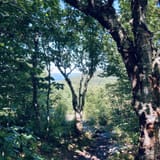 Spruce Hill via Hoosac Range Trail, Massachusetts - 529 Reviews, Map ...