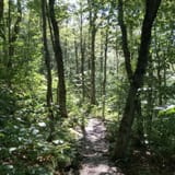 Spruce Hill via Hoosac Range Trail, Massachusetts - 540 Reviews, Map ...