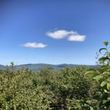 Spruce Hill via Hoosac Range Trail, Massachusetts - 559 Reviews, Map ...