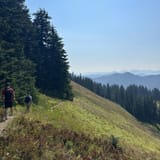 Johnson Ridge Trail, Washington - 278 Reviews, Map | AllTrails