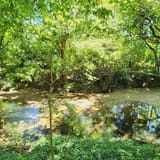 Cherokee Park Loop, Kentucky - 1,610 Reviews, Map | AllTrails