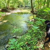Cherokee Park Loop, Kentucky - 1,610 Reviews, Map | AllTrails