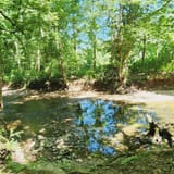Cherokee Park Loop, Kentucky - 1,610 Reviews, Map | AllTrails