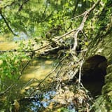 Cherokee Park Loop, Kentucky - 1,610 Reviews, Map | AllTrails