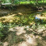 Cherokee Park Loop, Kentucky - 1,610 Reviews, Map | AllTrails