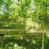 Cherokee Park Loop, Kentucky - 1,610 Reviews, Map | AllTrails