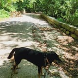 Cherokee Park Loop, Kentucky - 1,610 Reviews, Map | AllTrails