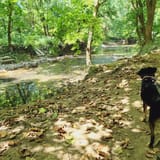 Cherokee Park Loop, Kentucky - 1,610 Reviews, Map | AllTrails