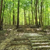 Cherokee Park Loop, Kentucky - 1,610 Reviews, Map | AllTrails