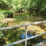 Cherokee Park Loop, Kentucky - 1,610 Reviews, Map | AllTrails