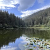 Two Lakes Trail, Alaska - 380 Reviews, Map | AllTrails