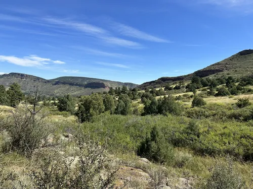Best Hikes and Trails in Hall Ranch Open Space | AllTrails