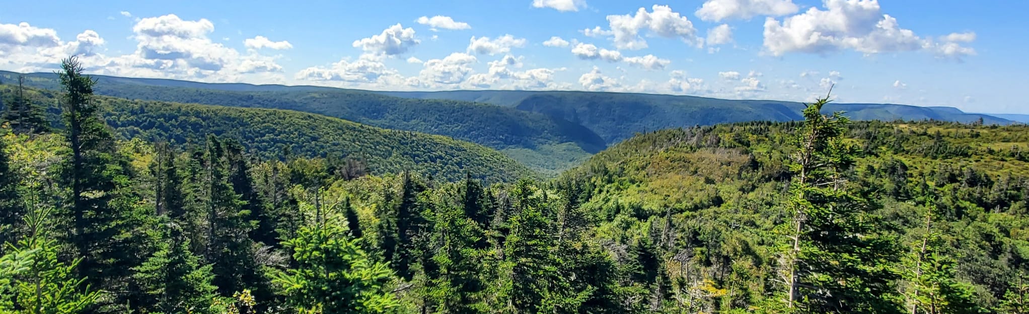 Acadian Trail, Nova Scotia, Canada - 574 Reviews, Map | AllTrails