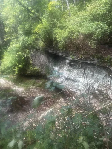 Best Hikes and Trails in Raven Run Park | AllTrails