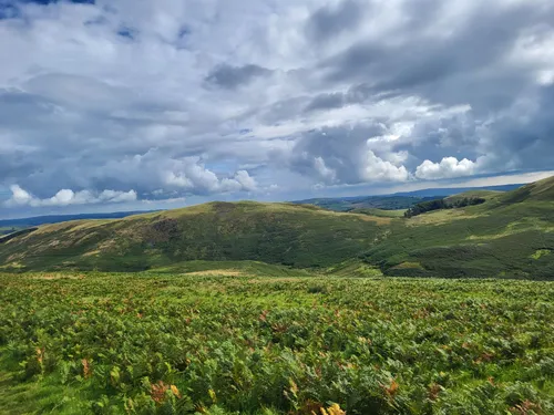 10 Best Trails, Walks, and Paths in Wooler | AllTrails