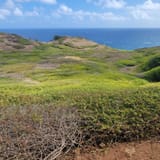 ʻŌhai Trail Loop, Maui, Hawaii - 779 Reviews, Map | AllTrails