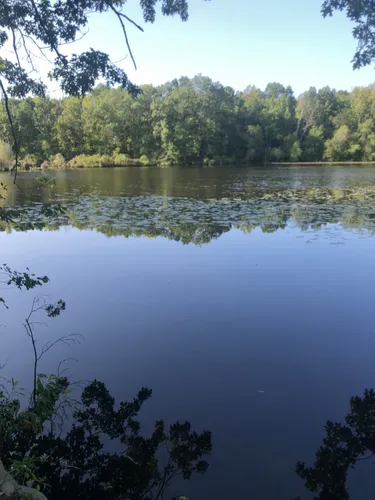 Best Hikes and Trails in Horn Pond Recreation Area | AllTrails