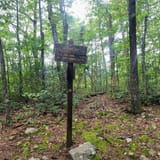 Torry Ridge Hike- Lower Sherando Lake via White Gap Trail, Virginia ...
