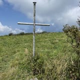 Huckleberry Knob Trail, North Carolina - 546 Reviews, Map | AllTrails