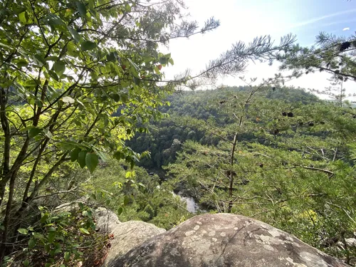 Best Hikes and Trails in Obed Wild and Scenic River | AllTrails