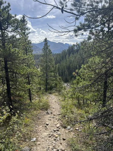 Best Hikes and Trails in Fort Nelson | AllTrails