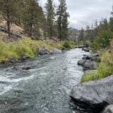 Riley Ranch Trails, Oregon - 391 Reviews, Map | AllTrails