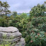 West and East Pinnacle, Kentucky - 1,084 Reviews, Map | AllTrails