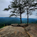 West and East Pinnacle, Kentucky - 1,084 Reviews, Map | AllTrails