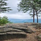West and East Pinnacle, Kentucky - 1,146 Reviews, Map | AllTrails