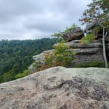West and East Pinnacle, Kentucky - 1,245 Reviews, Map | AllTrails