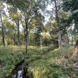 Hawk Ridge Trail, Missouri - 2,352 Reviews, Map | AllTrails