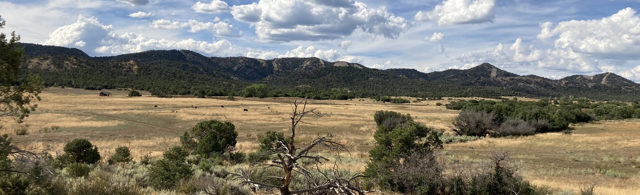 Spur Line Trail, Colorado - 391 Reviews, Map | AllTrails