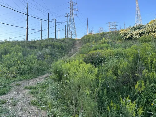 Best Hikes and Trails in Barking Slopes | AllTrails