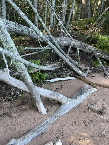 Best Hikes and Trails in Frog Bay National Tribal Park | AllTrails