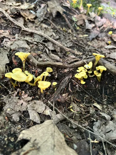 Best Hikes and Trails in Frog Bay National Tribal Park | AllTrails