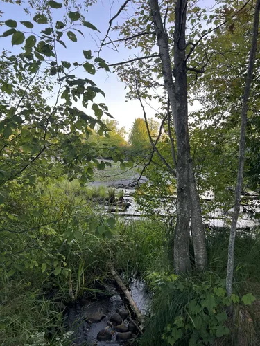 Best Hikes and Trails in Stevens Point | AllTrails