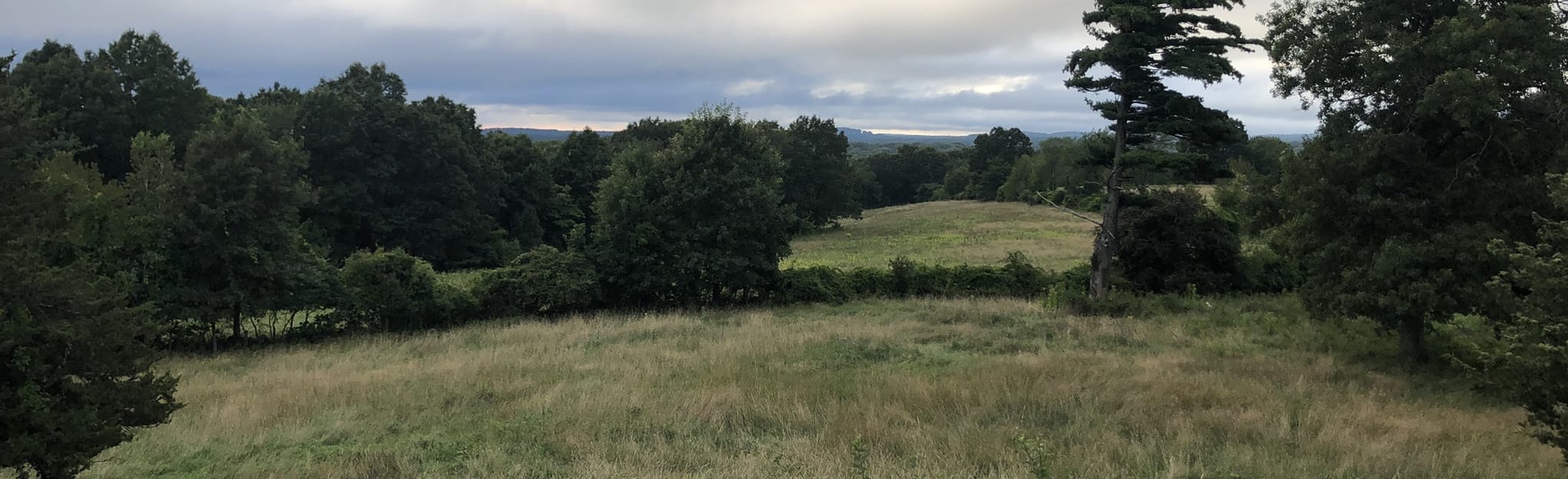 Willow Hill and Sagamore Hill Loop: 179 Reviews, Map - Massachusetts ...