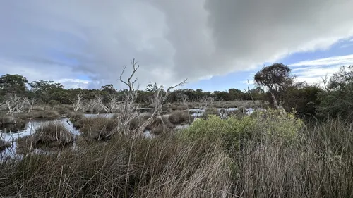 Best Hikes and Trails in Len Howard Conservation Park | AllTrails