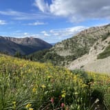 The Copper Creek Trail to Copper Lake, Colorado - 598 Reviews, Map ...