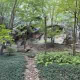 Neversink Loop Trail, Pennsylvania - 1,041 Reviews, Map | AllTrails